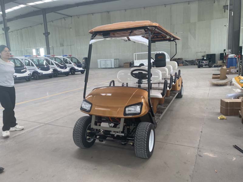 QFGF08 Golden Electric Golf Cart Price_Supplier_For Sale - SHANDONG ...